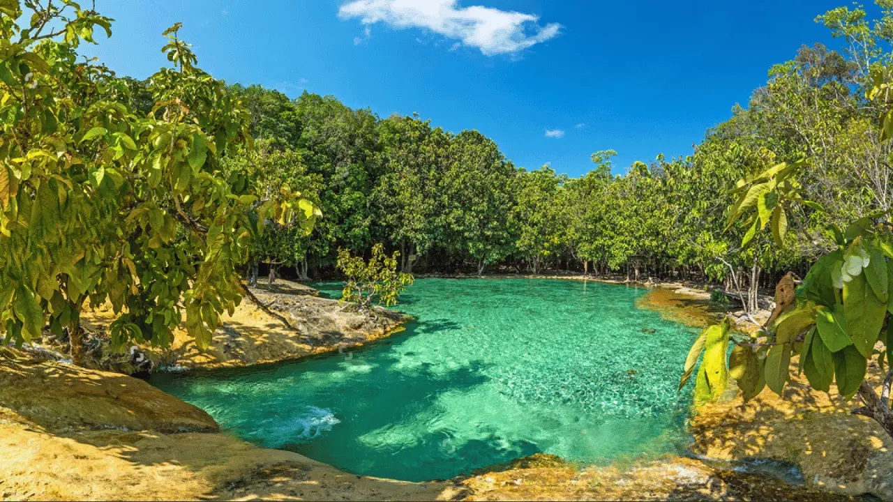 Emerald Pool Tour Krabi – Swim in Nature’s Hidden Gem