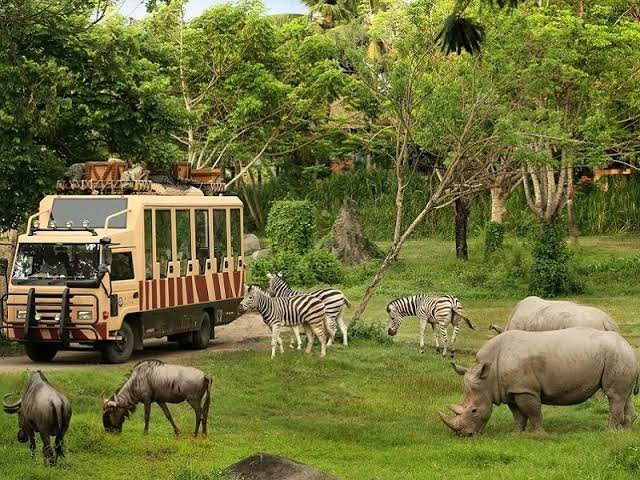 Safari World Bangkok Tour | Thai Adventure Club